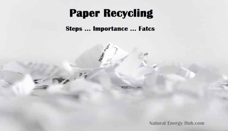 What is paper recycling - Processing steps, importance & facts ...
