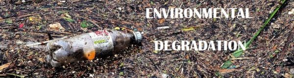 What is environmental degradation, causes and effects - Natural Energy Hub