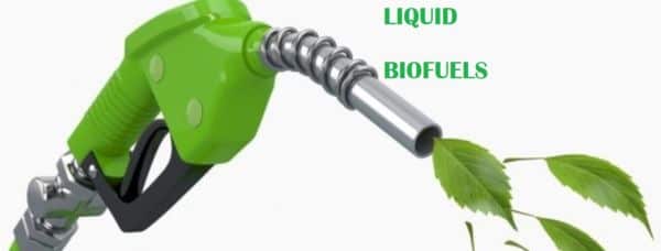 What are liquid biofuels, its types, advantages and few facts to know ...